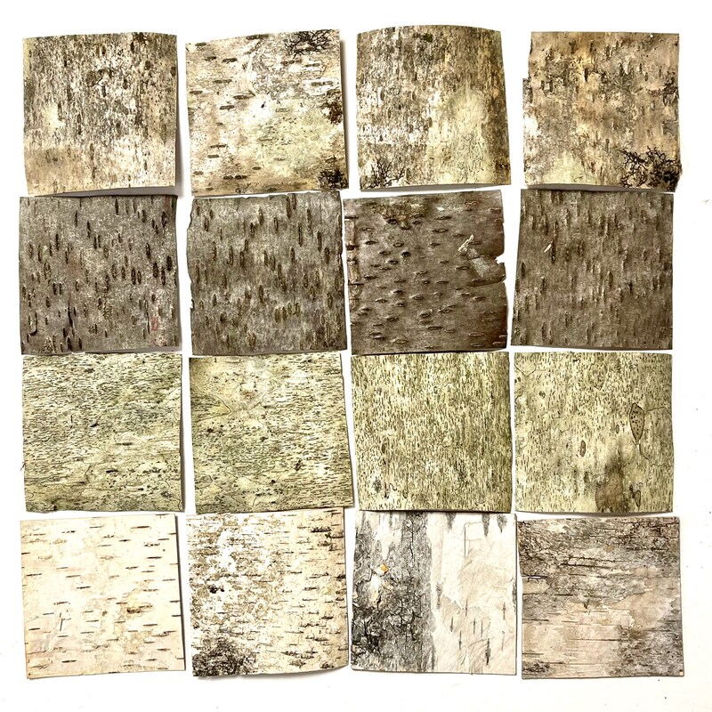 Birch Bark Paper - Etsy