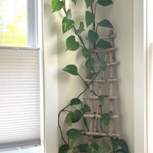 Birch Trellis, Handmade, 32 Inch, 36 Inch, 39 Inch, Plant Trellis ...