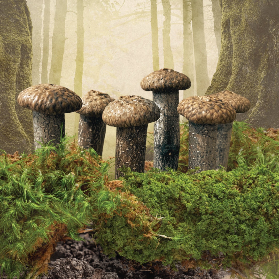 6 Toadstools for Fairy Gardens, Terrariums, Handmade, Acorn Caps and ...