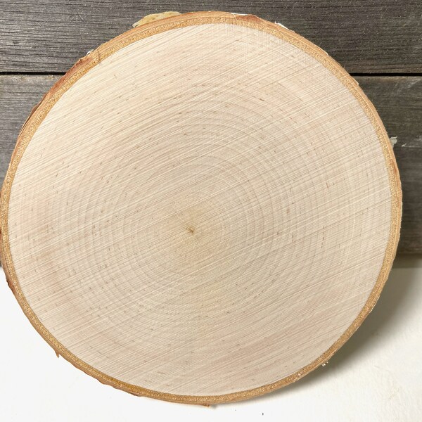 Birch Wood Slices - Etsy