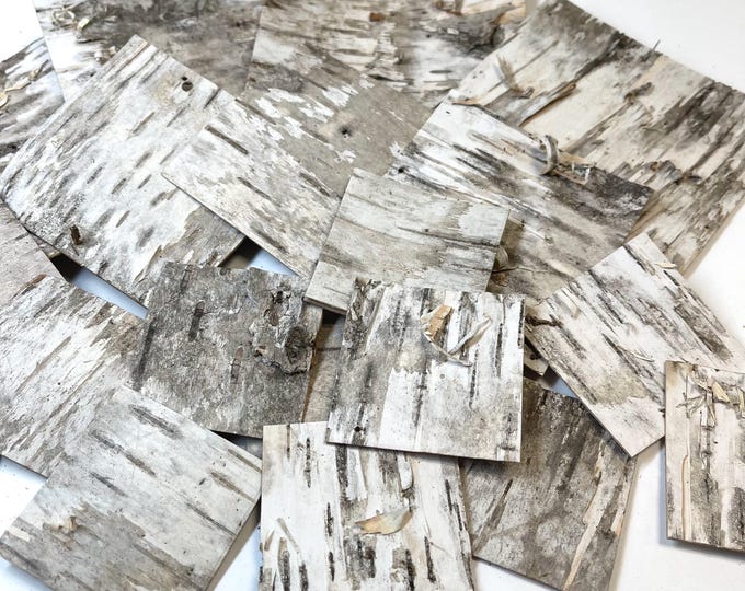 Birch Bark Sheets, Loose White Bark Strips, Natural Craft Supply, #2521 ...