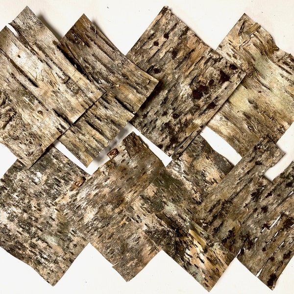Birch Bark Sheets - Etsy