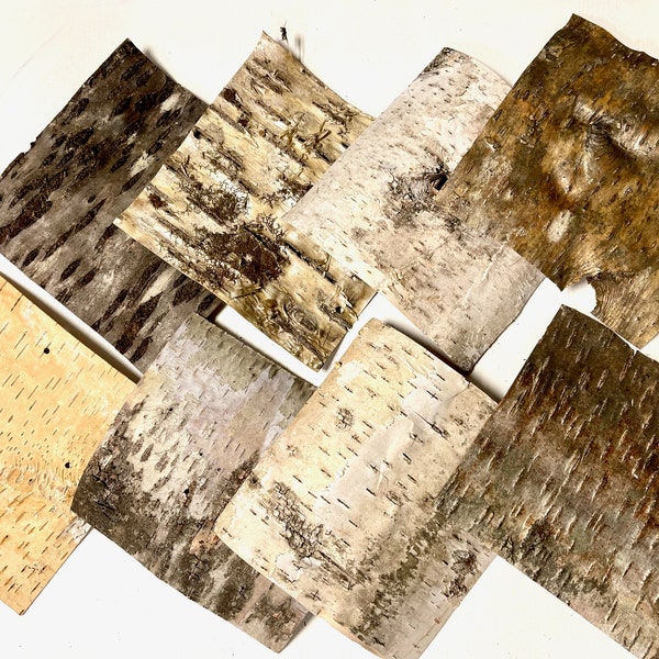 Birch Bark Art - Etsy