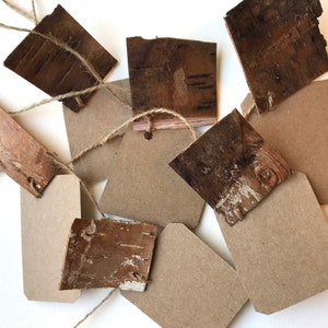 Birch Bark Tags, Set of 6, Assorted, Birch Pieces, 2x3, Heavy Kraft ...