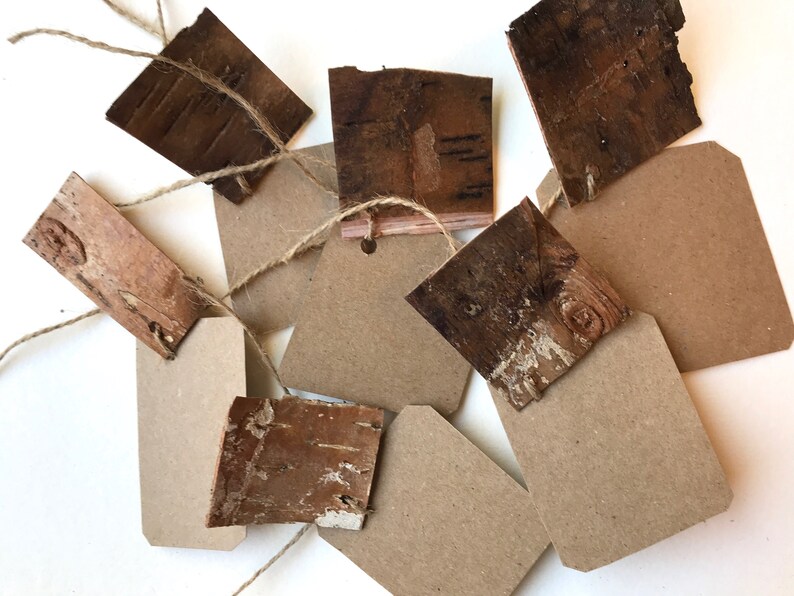 Birch Bark Tags Set of 6 Assorted Birch Pieces - Etsy