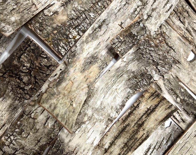 Birch Bark, 16 Sheets, 3" Squares, Card Making, Die Cutting, Collage ...