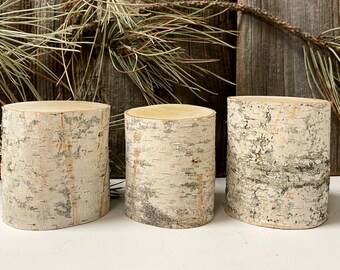 Birch Log Centerpiece - Etsy