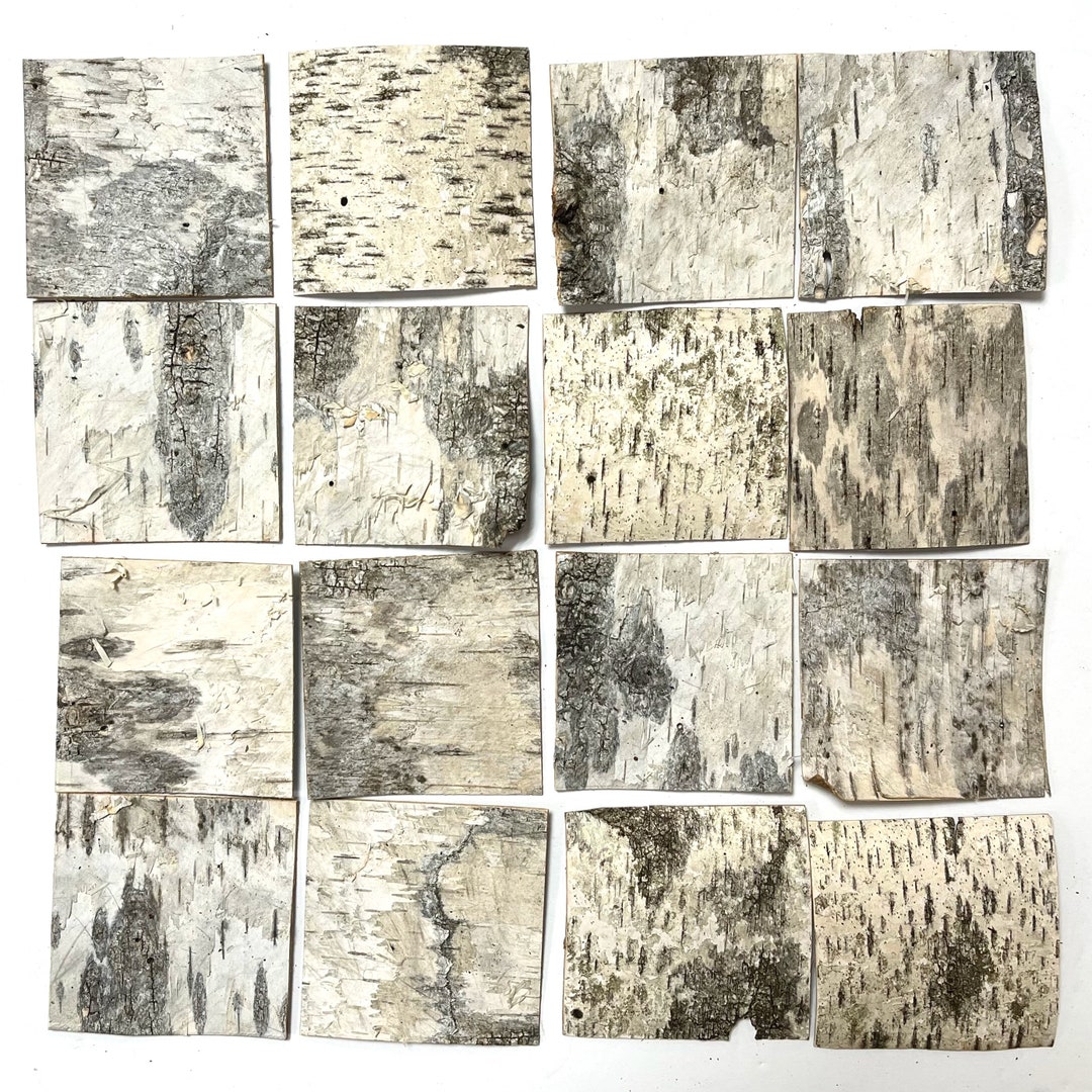 White Birch Bark, 16 Sheets, 3 Squares, Resin, Tiles, Collage, Fairy ...