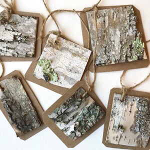 Birch Bark Tags, Set of 6, Assorted, Birch Pieces, 2x3, Heavy Kraft ...