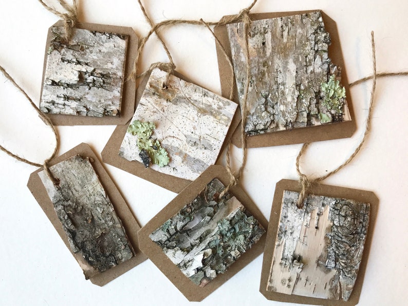 Birch Bark Tags Set of 6 Assorted Birch Pieces - Etsy