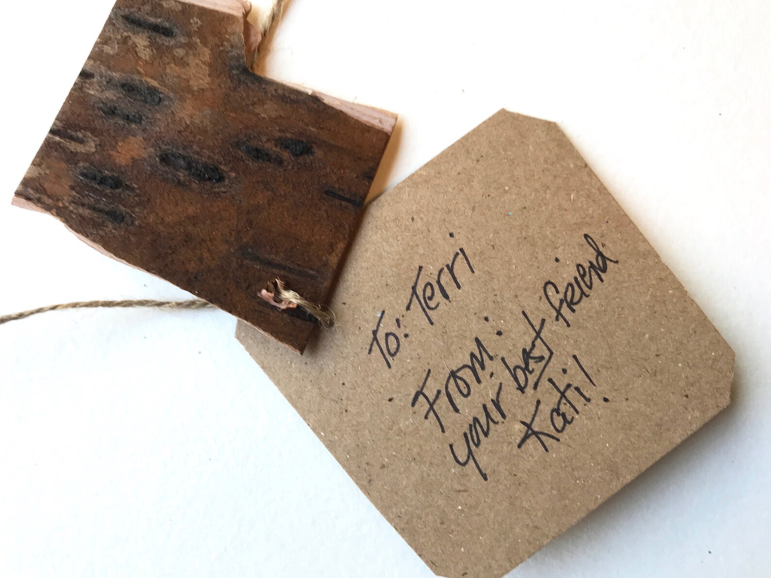 Birch Bark Tags Set of 6 Assorted Birch Pieces - Etsy