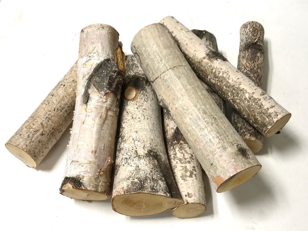 8 Birch Logs 6 White Birch Rustic Home Decor Crafts - Etsy