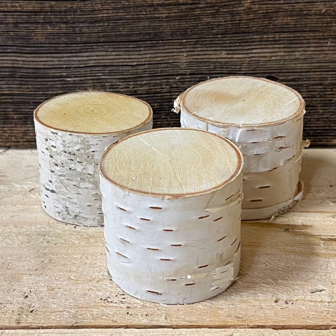 3 Small White Birch Bases, 2 Wide X 2 Tall, Small Stand, Mini Base ...