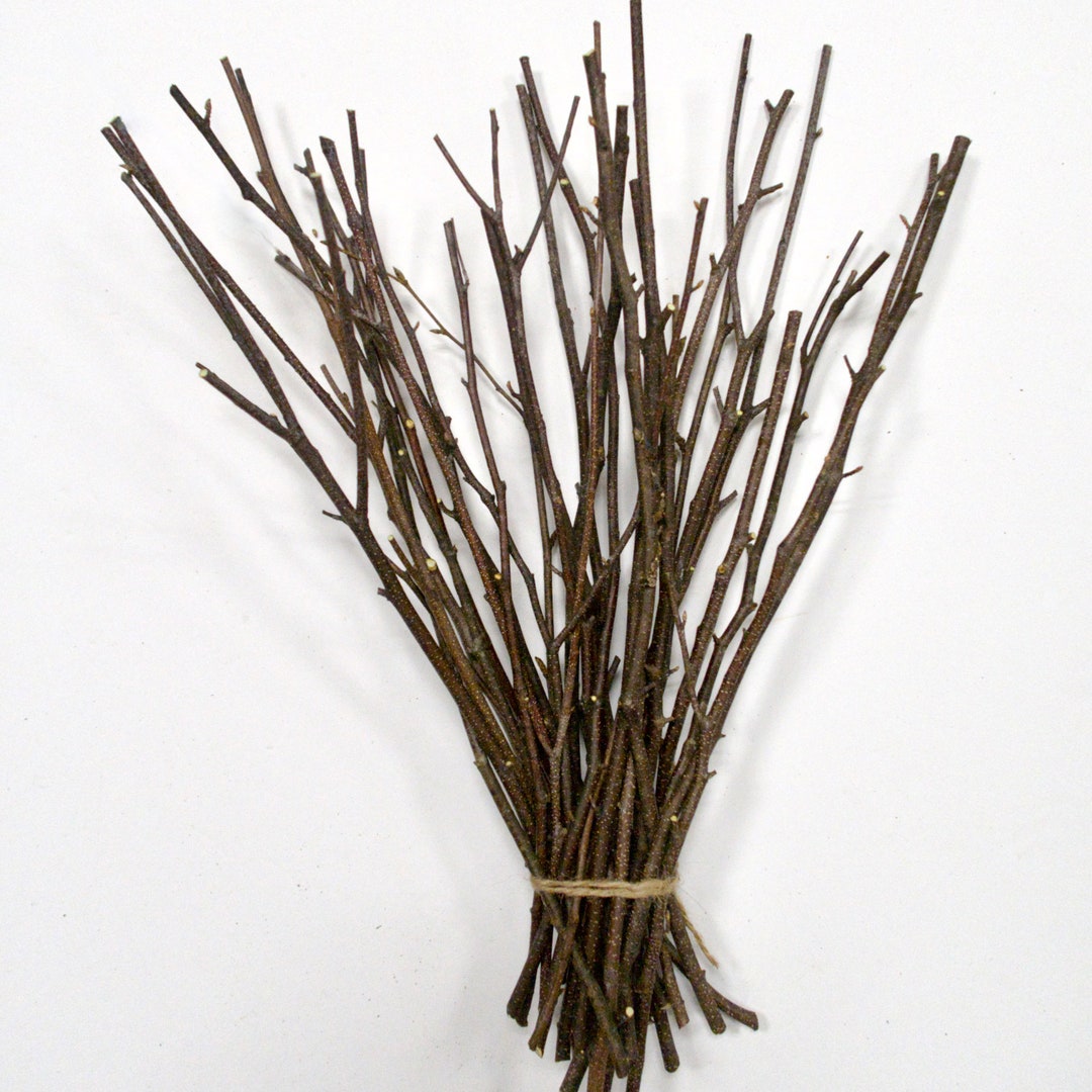 Bundle of 30 Birch Sticks, 1214 Long, 1/8 1/4 Thick, Natural Craft ...
