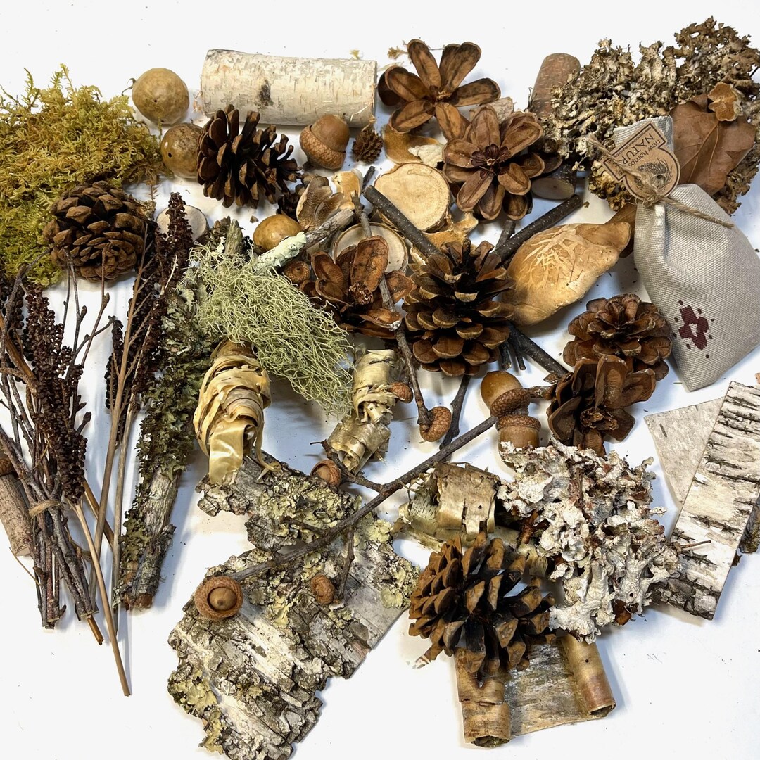 Fairy Garden Gift Box, DIY Potpourri, Forest Learning Materials ...