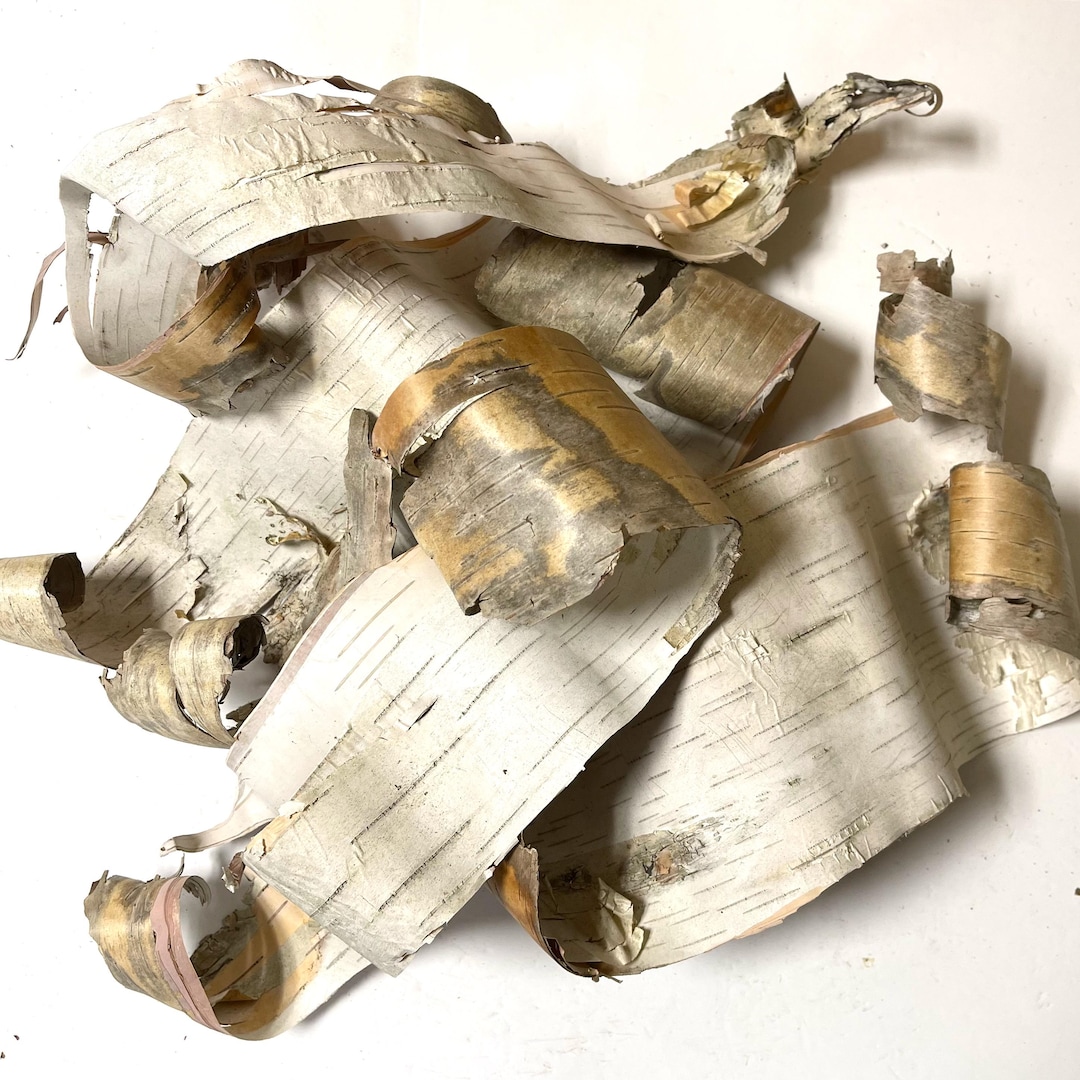 Birch Bark Sheets, Loose White Bark Strips, Natural Craft Supply, #2522 ...