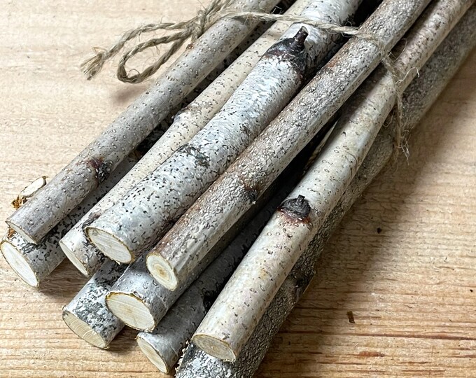 Birch Branches: Bundle of 10, 5/8" X 20", Macrame, Weaving, Small ...