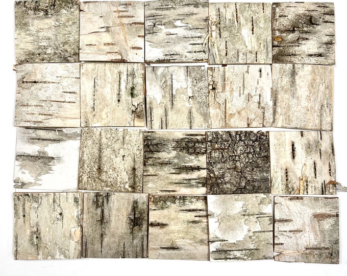 Birch Bark Sheets, Loose White Bark Strips, Natural Craft Supply, #2521 ...