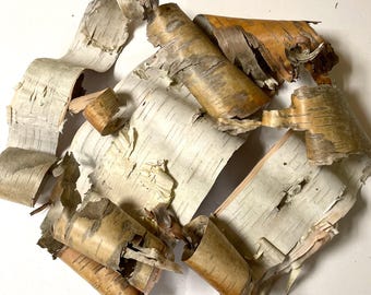 16 Birch Bark Sheets, 4", All Natural Craft Supply, Assorted White ...