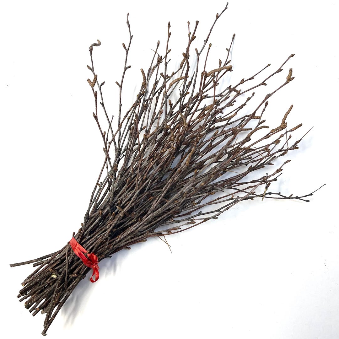 50+ Tiny Birch Twigs, 12 Inch Bundle, Floral Branches, Rustic Table ...