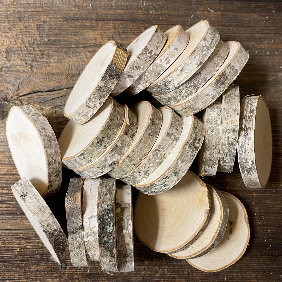 24 Birch Wood Slices, 2.5", Sanded, Seasoned Dry, Ready to Use, Drilled ...