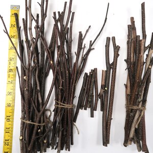 50 Assorted Birch Sticks, Fairy House Supplies, Stick Furniture, Little ...