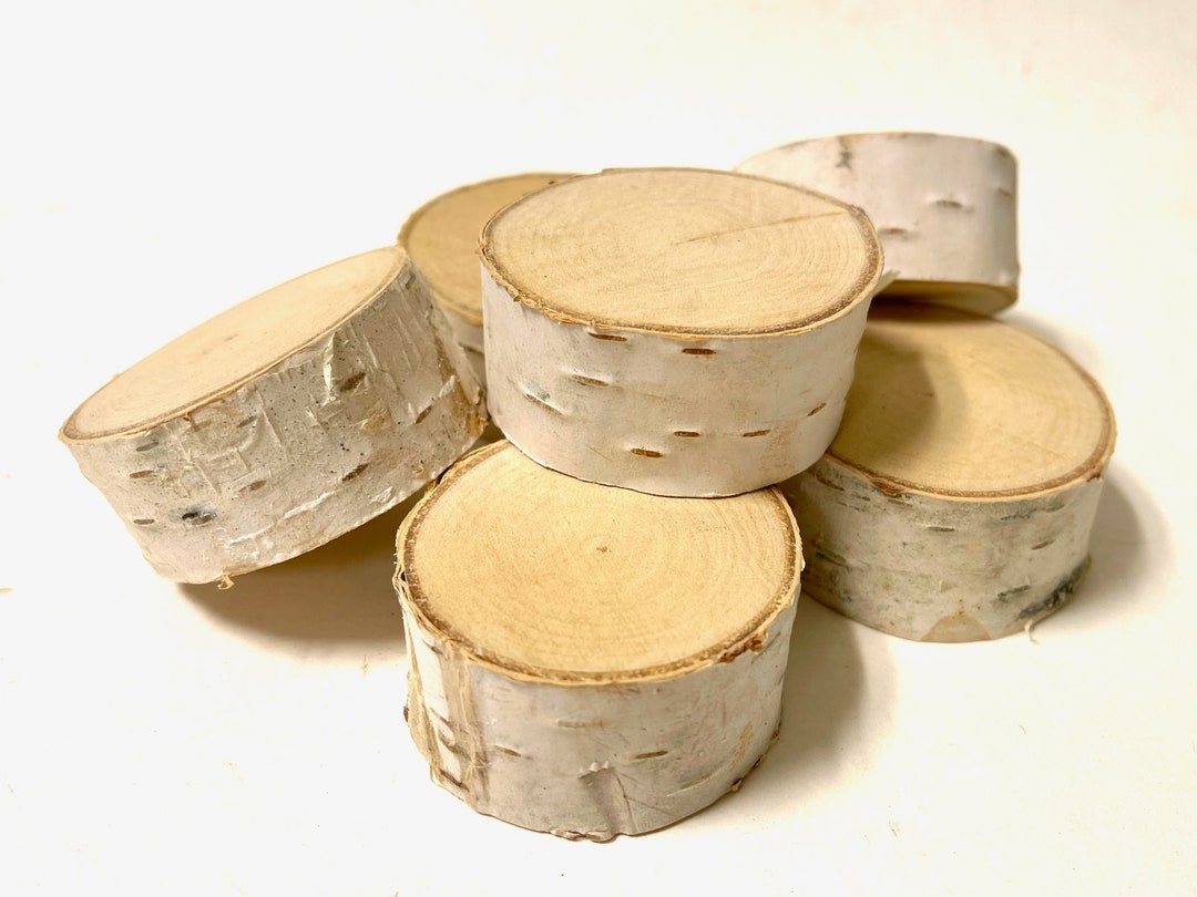 Small Birch Bases, Sets of 6 or 12, 2" Wide X 1" Tall, Small Stand ...