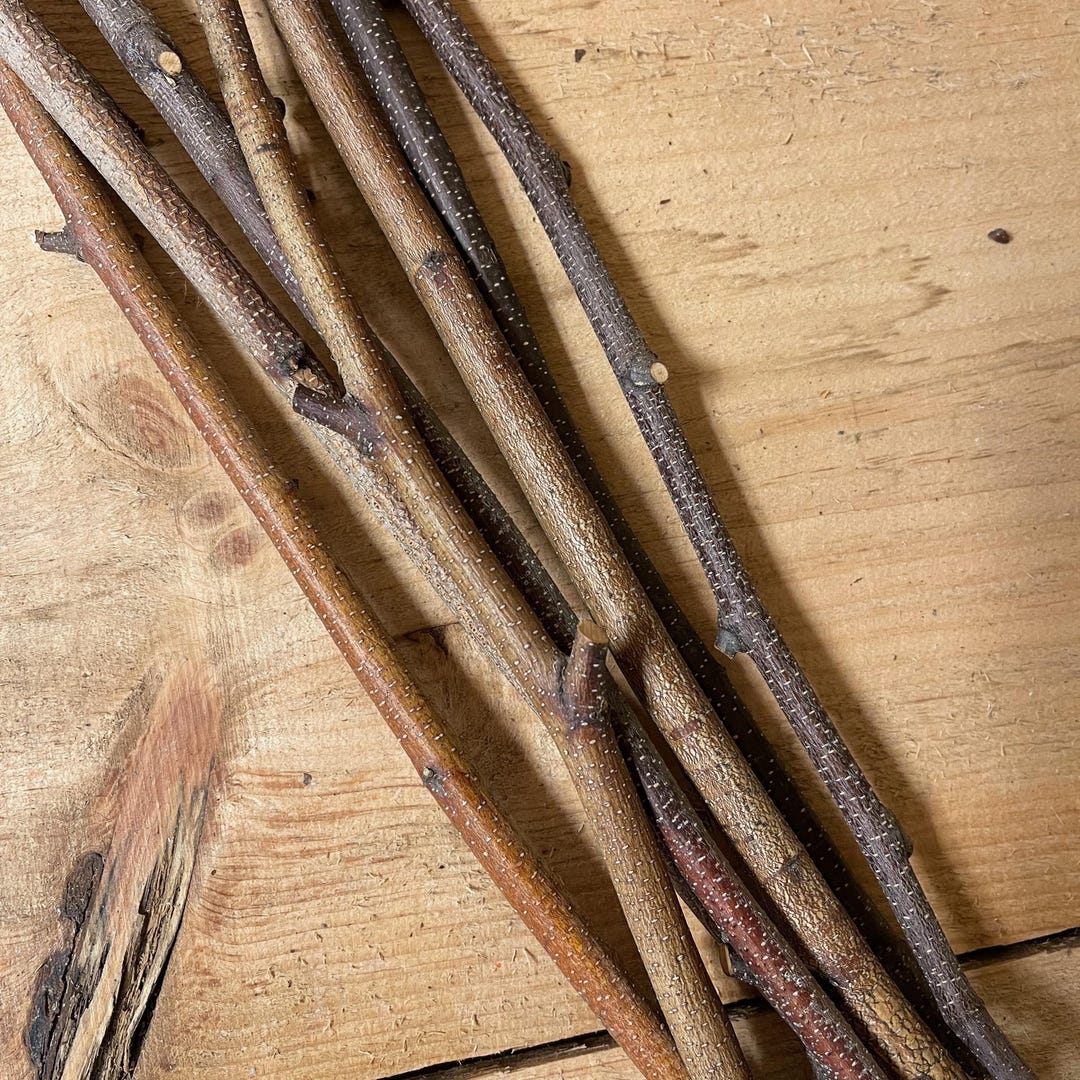 7 White Birch Branches, 17" Long, 1/2" Diameter, Birch Crafts, Perches ...