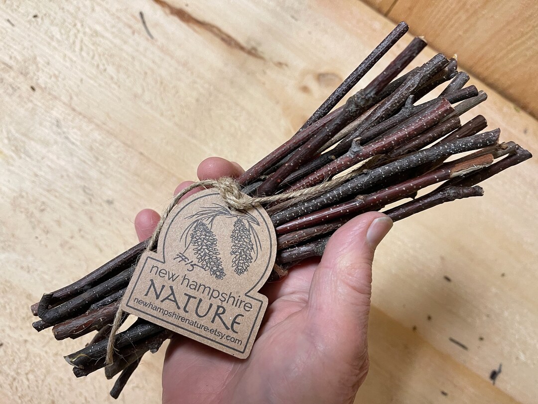 40 Birch Twigs, Macrame, Weaving, Arts and Crafts, Acorn People, Small Broomsticks, 8"- 10"- 12 ...