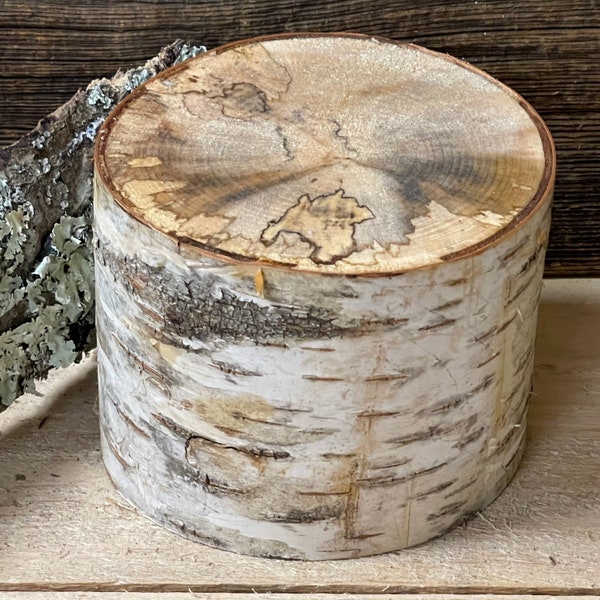 Birch Centerpiece - Etsy