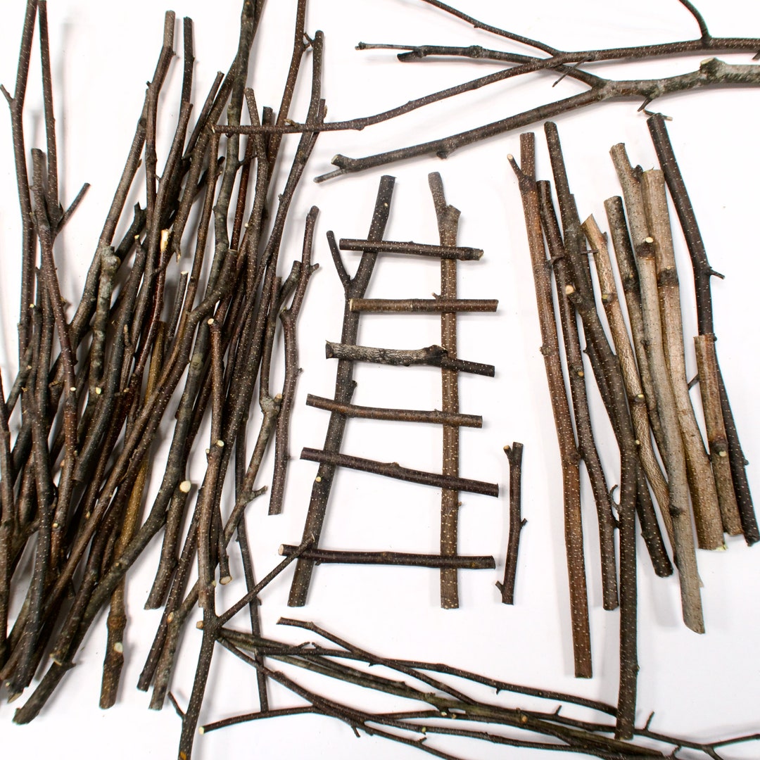 50 Assorted Birch Sticks, Fairy House Supplies, Stick Furniture, Little ...
