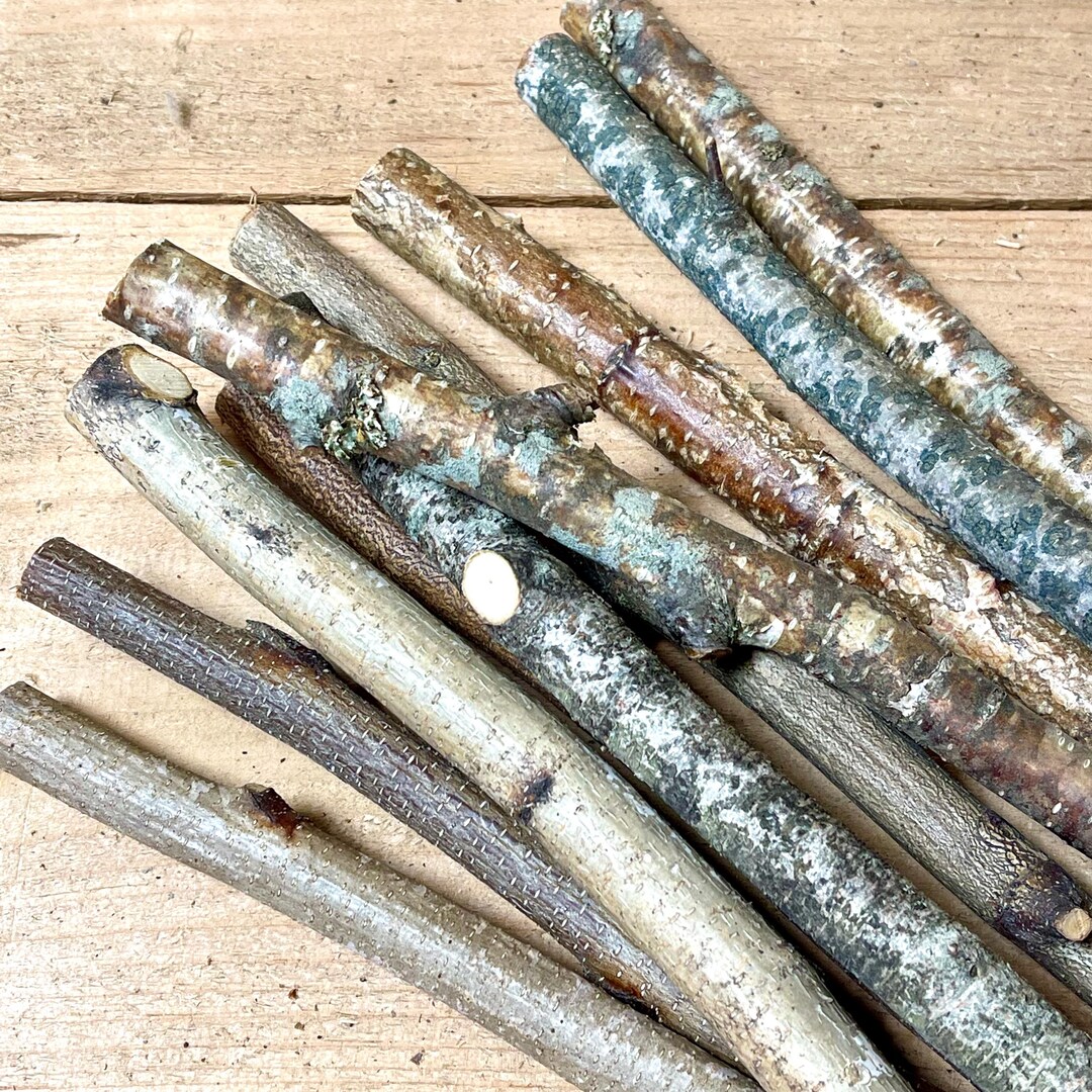 Birch Branches: Bundle of 10, 5/8" X 20", Macrame, Weaving, Small ...