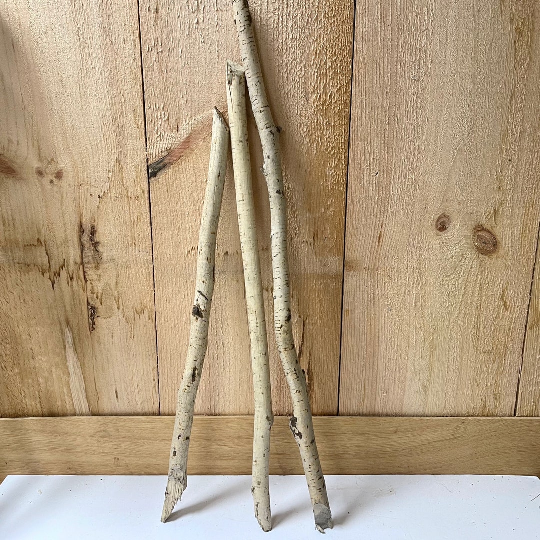 3 Beaver Sticks, 20, 22, 26, Weaving, Macrame, Fiber Arts, Unique Gift ...