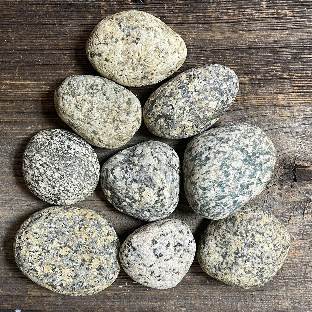9 Granite River Rocks, Terrariums, Small Rock Gardens, Natural Paper ...