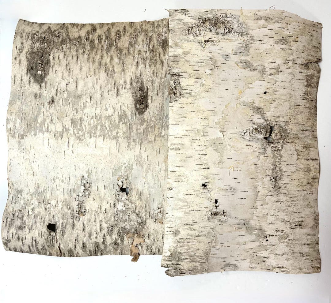 2 Birch Bark Sheets, 8" X 14", 1.mm, Natural Craft Supply, #2524 - Etsy