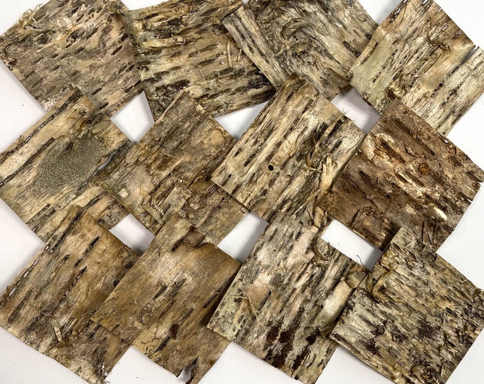 Birch Bark Sheets, Loose White Bark Strips, Natural Craft Supply, #2521 ...