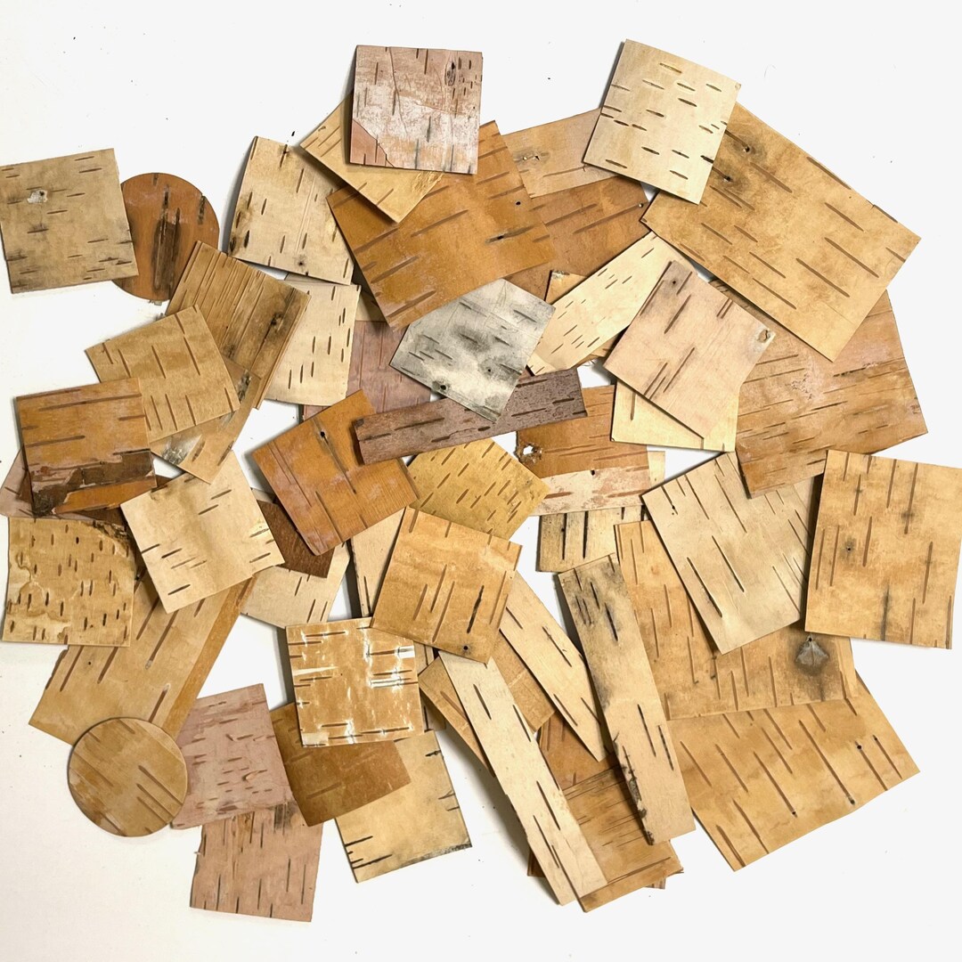50 Birch Bark Shapes, Small Assorted 24, Inner Yellow Orange Bark, Card ...