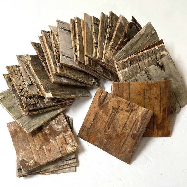 Birch Bark Strips - Etsy