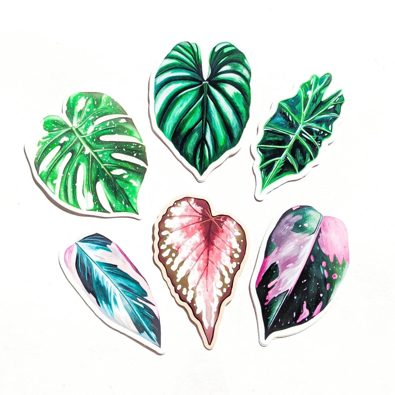El paquete completo de pegatinas de hoja / hoja pegatina | Etsy