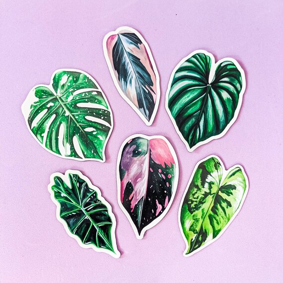 The Complete Leaf Magnet Set / Plant Magnets / Monstera Magnet - Etsy