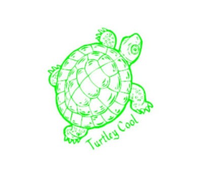 Turtle Sticker, Turtles, Snapping Turtle, Vinyl Decal - Etsy