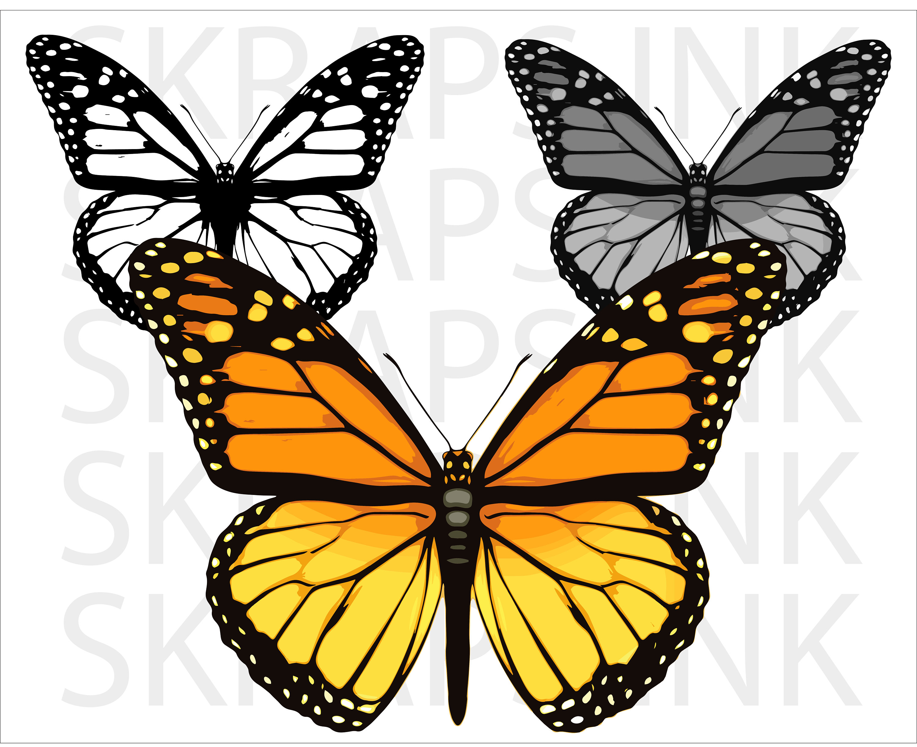 Monarch Butterfly SVG | PNG | AI Instant Download Files - Etsy