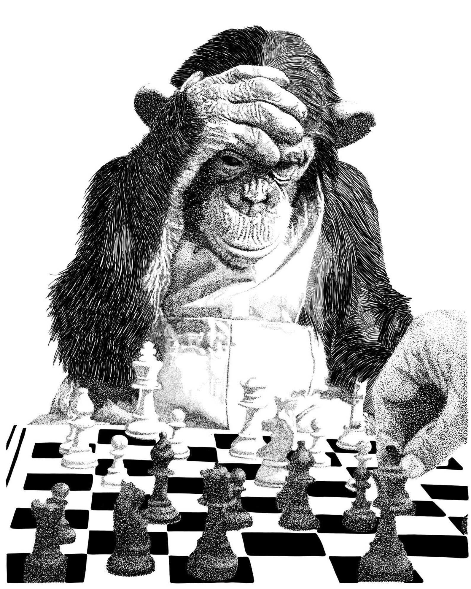 Monkey Playing Chess Illustration Print - Etsy