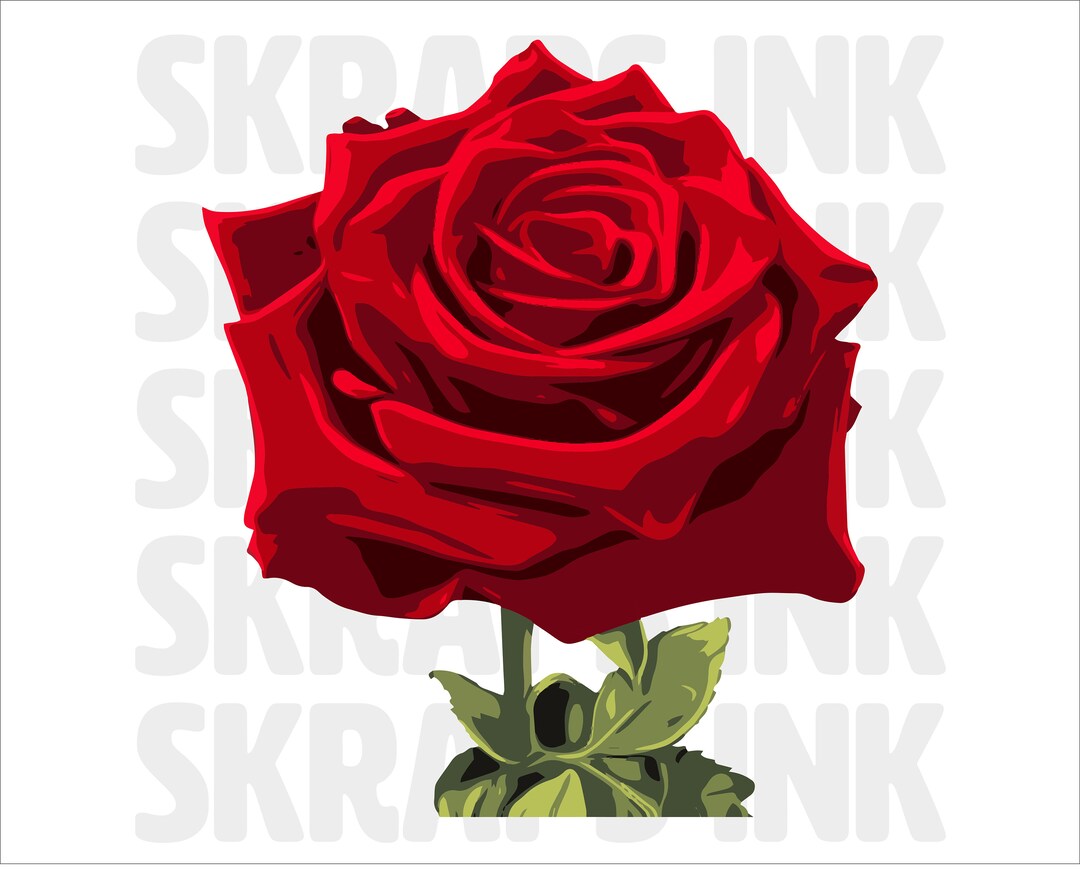 Red Rose SVG | PNG | AI Digital Download - Etsy