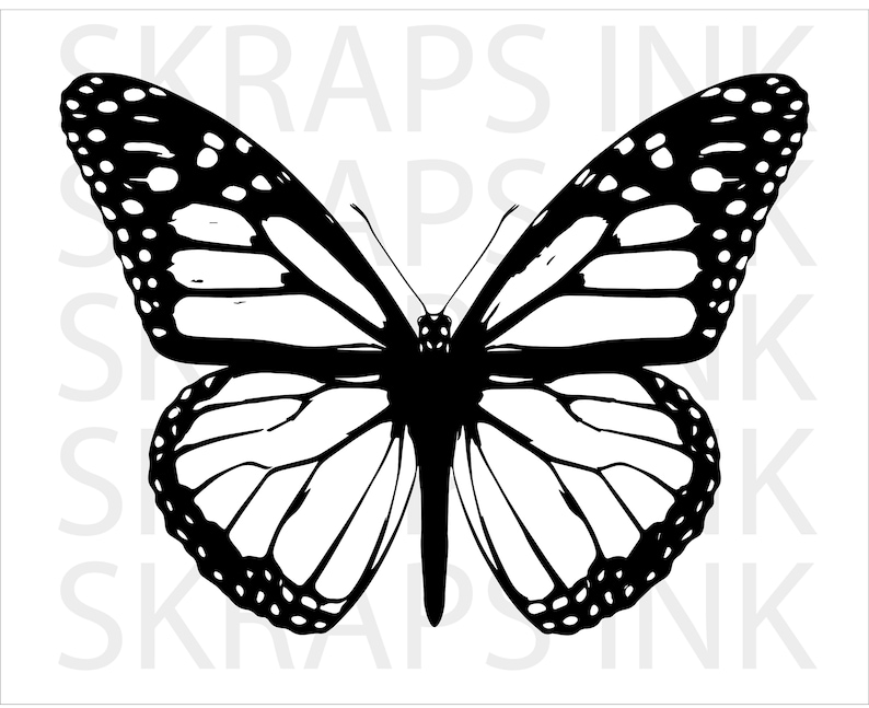Monarch Butterfly SVG | PNG | AI Instant Download Files - Etsy
