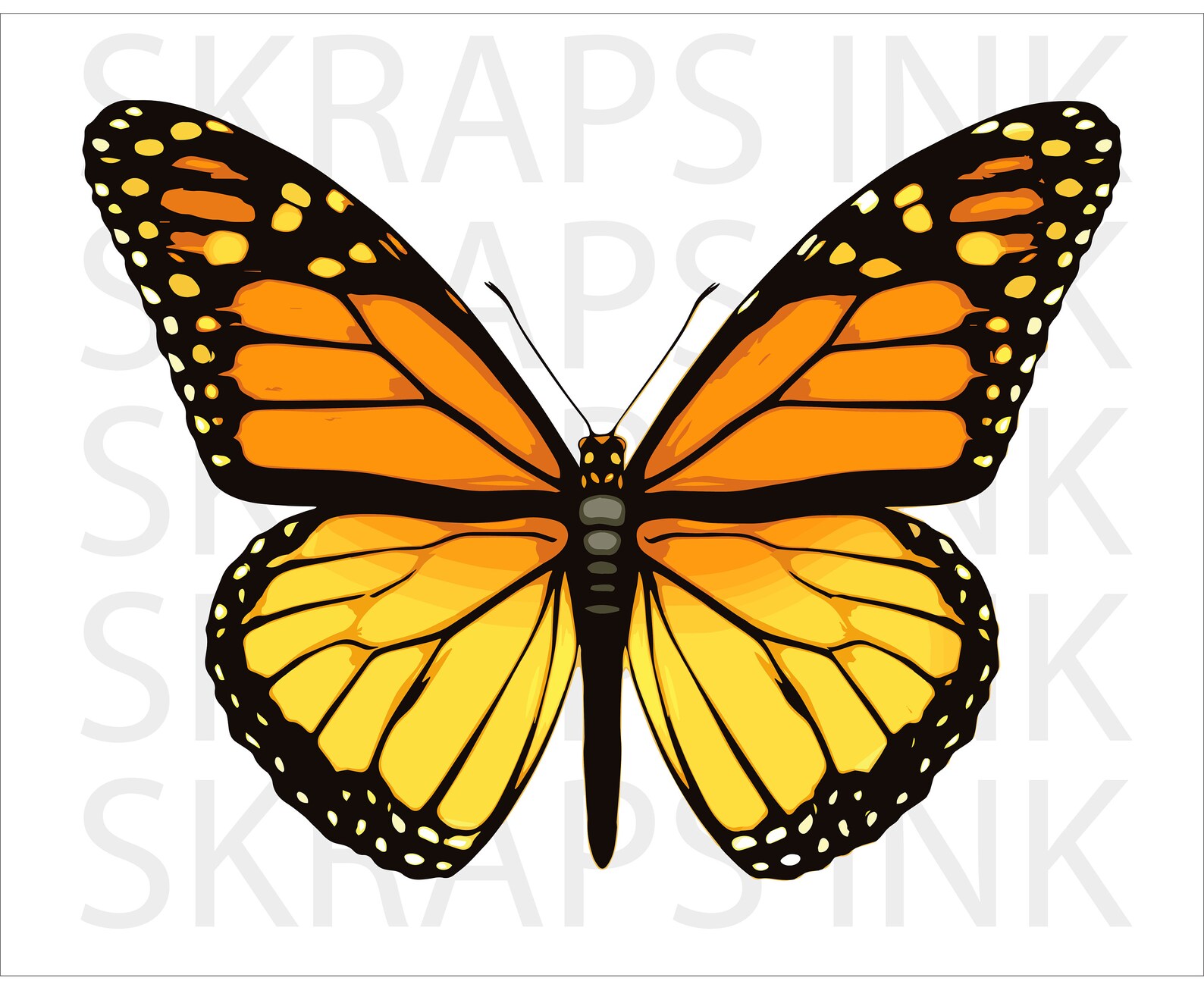 Monarch Butterfly SVG | PNG | AI Instant Download Files - Etsy