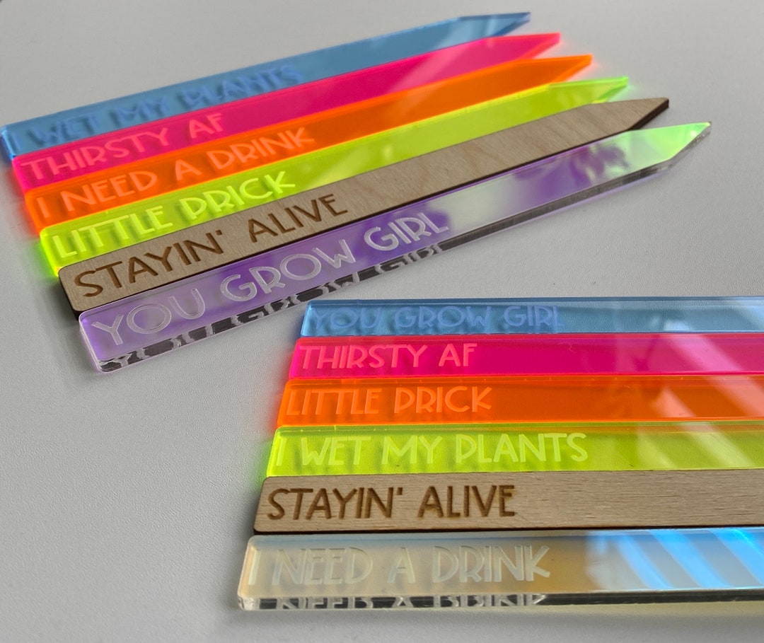 Funny Planter Stakes, Custom Plant Markers, House Plant Gift, Silly ...