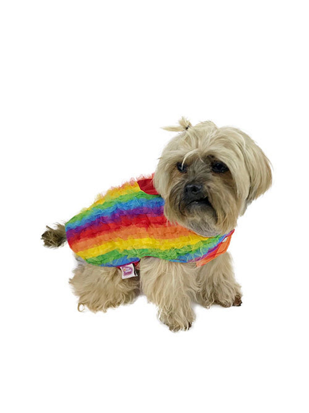 Rainbow Tulle Tuxedo - Etsy