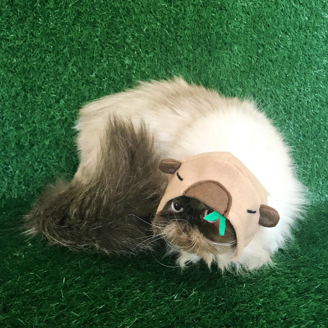 Capibara Cat Hat - Etsy