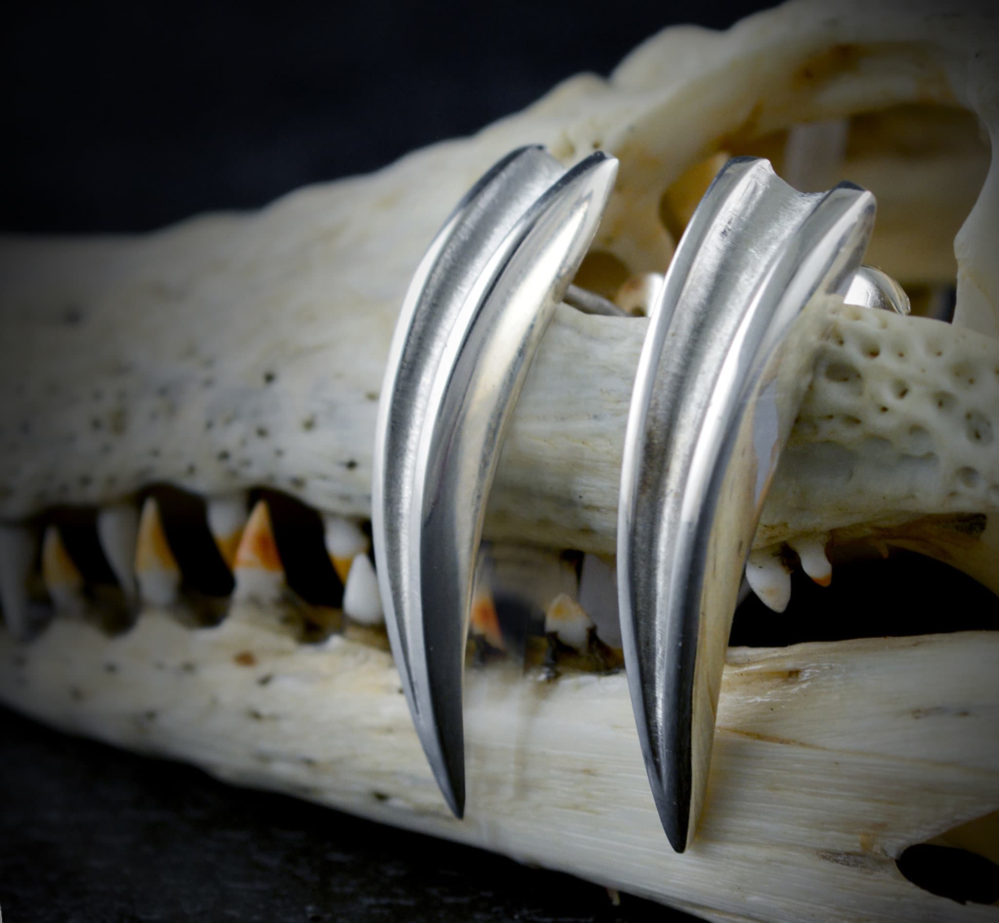 Pendiente grande colmillo en plata de ley y texturas | Etsy